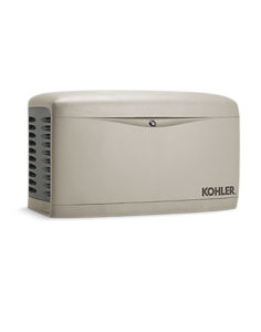 Home Stand-by and Backup Generators | WPE Landscape Equipment